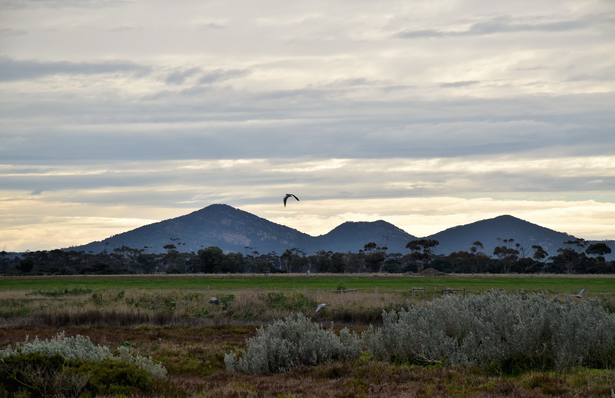 Goin' Feral One Day At A Time: Kirk Point Walk - July 2021