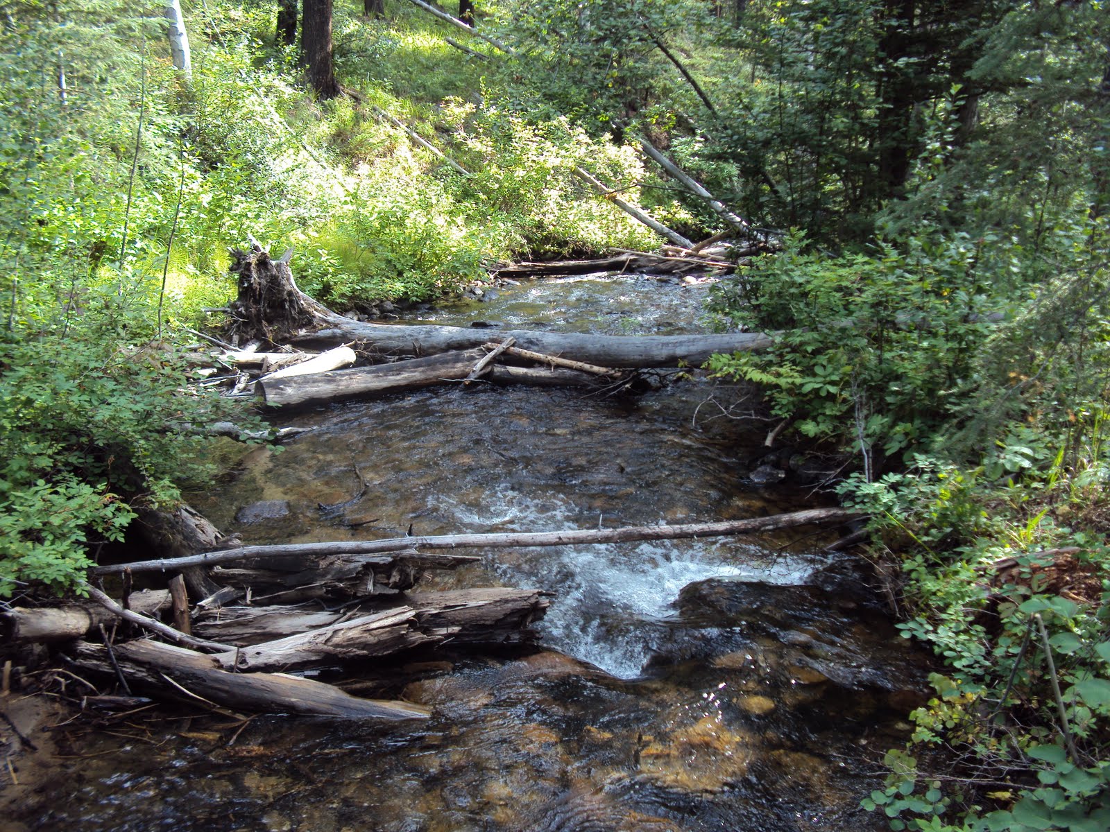 5 mois à Berwyn (AB) au CANADA