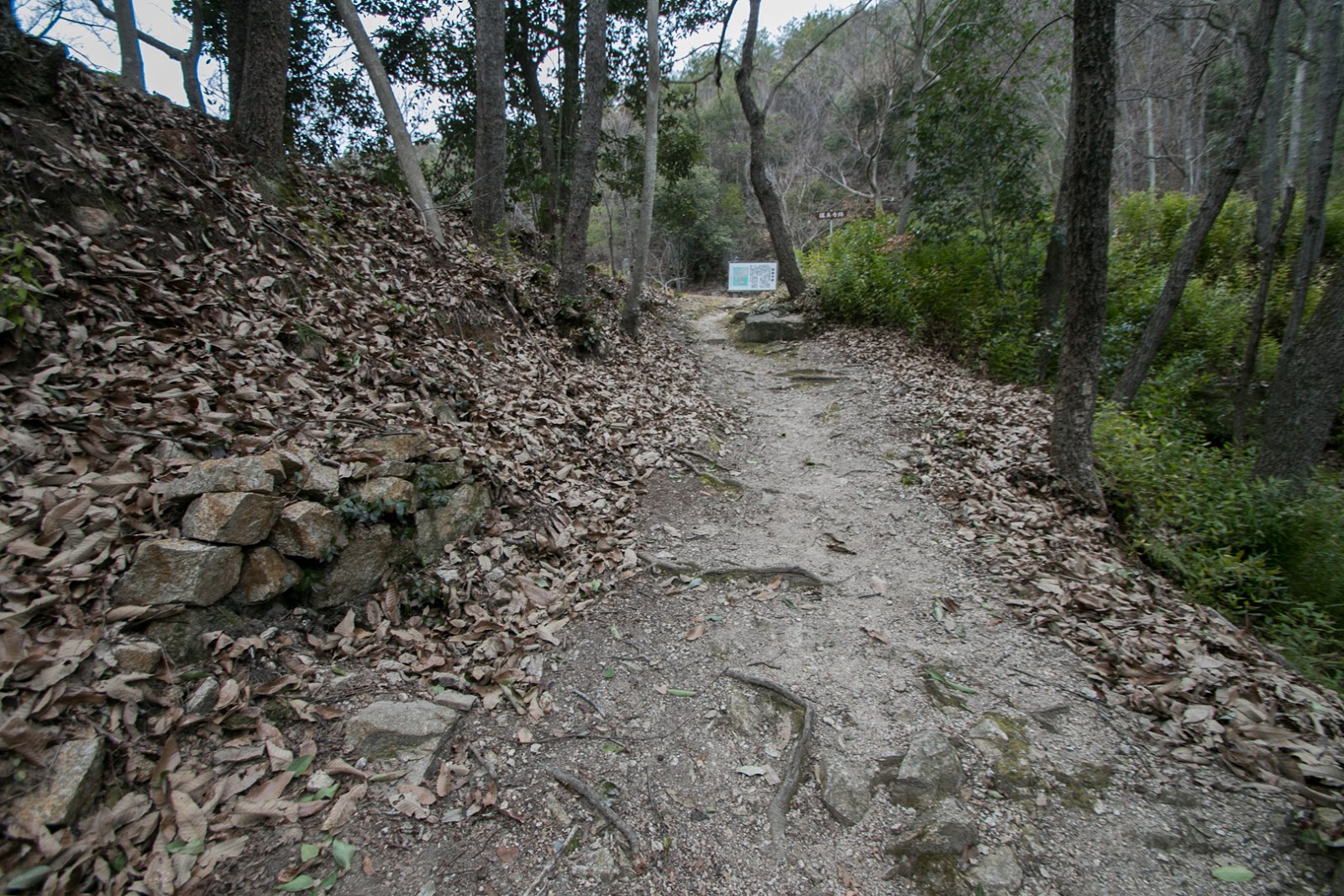 Niitakayama Castle -Intellectual pillar of Mouri clan (2)- | Japan ...