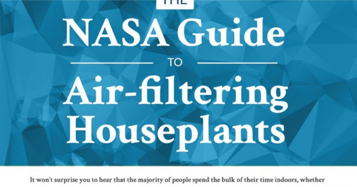 NASA Guide to Air-filtering Houseplants ~ BIOSCOPUS