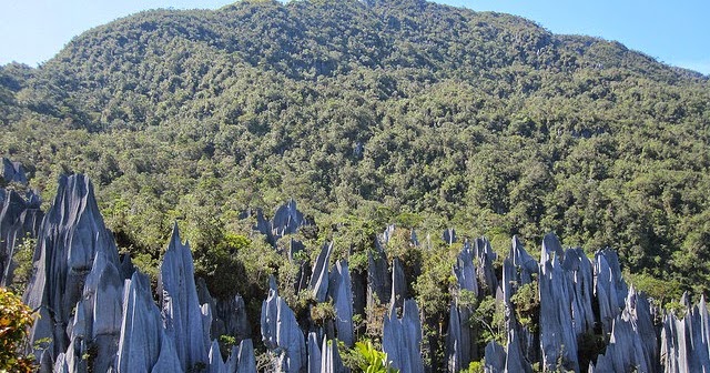 Patrimonio de la Humanidad: Parque Nacional de Gunung Mulu. Malasia 2000