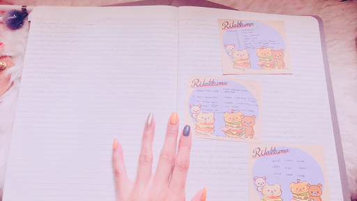 (Self-Isolation Series) - My Notebook Collection | Dazed Mari