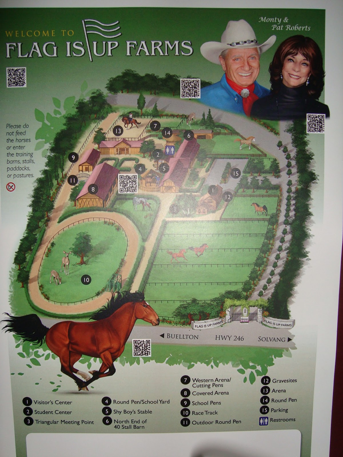 Highway Runner: MONTY ROBERTS' FLAG IS UP FARM, SOLVANG, CA