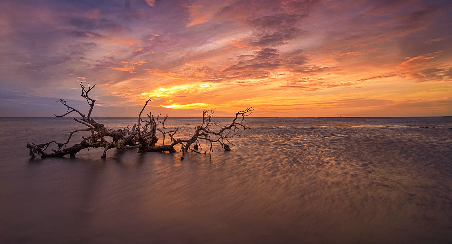 Tamilnadu Tourism: Hare Island, Thoothukudi