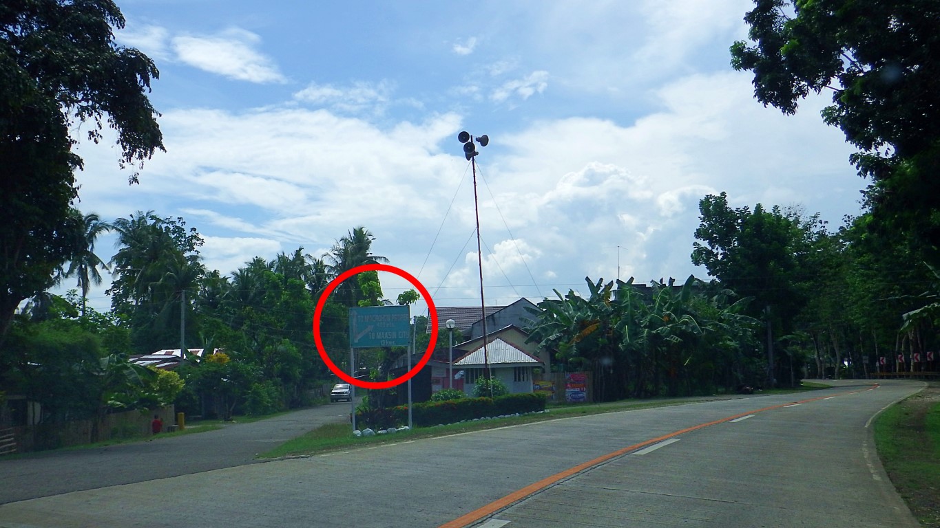 Macrohon Discoveries