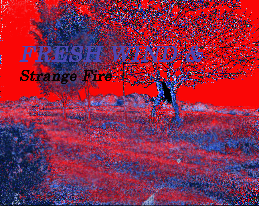 Sacred Ground Travel Magazine: The Fresh Wind Fine Art Exhibition