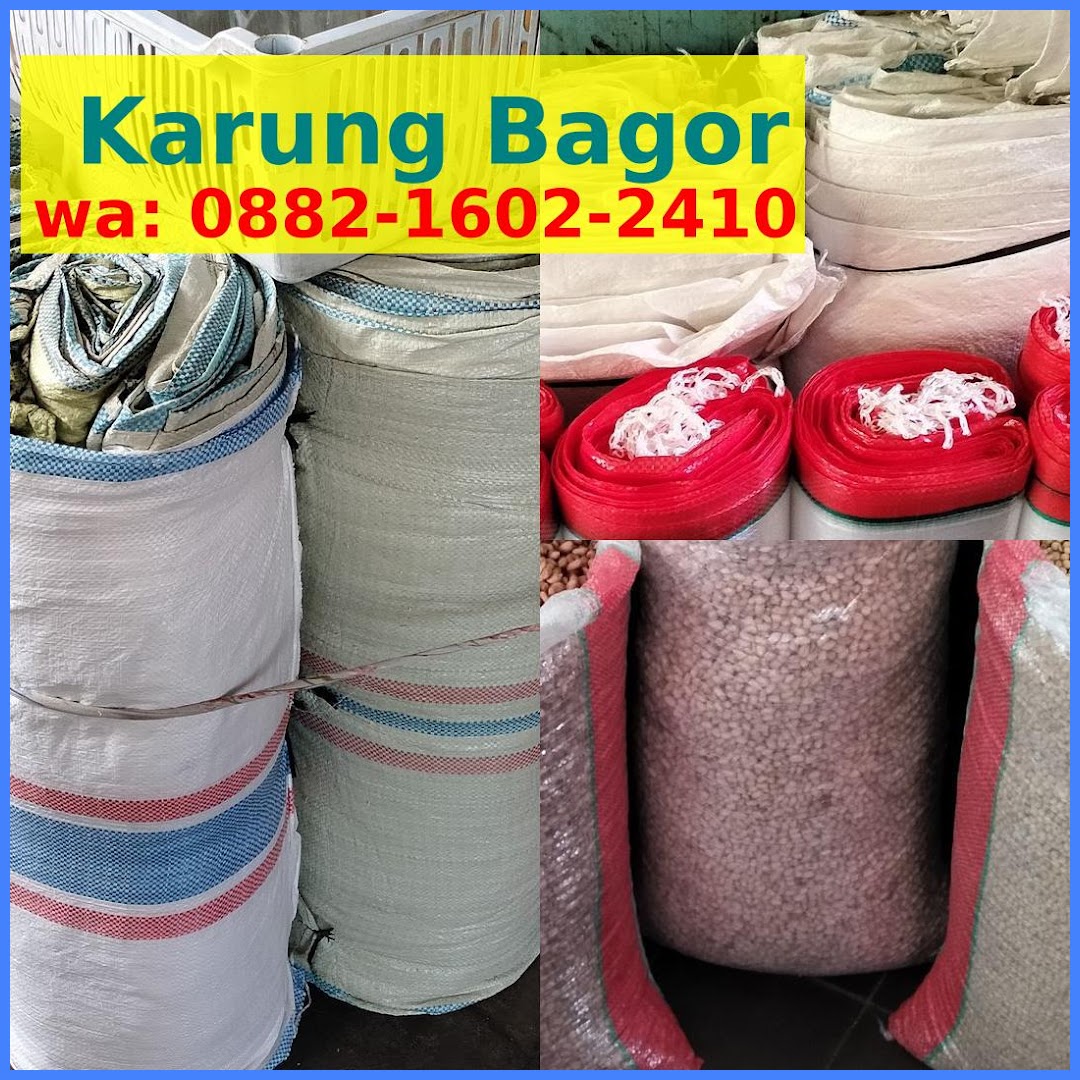 Dimensi Karung Beras 50 Kg – Ô88ᒿ_I6Ôᒿ_ᒿԿIÔ [wa] Pabrik Karung Bagor ...