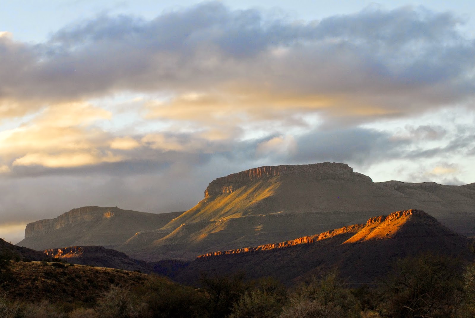 The Great Wildebeest Migration: The Great Karoo