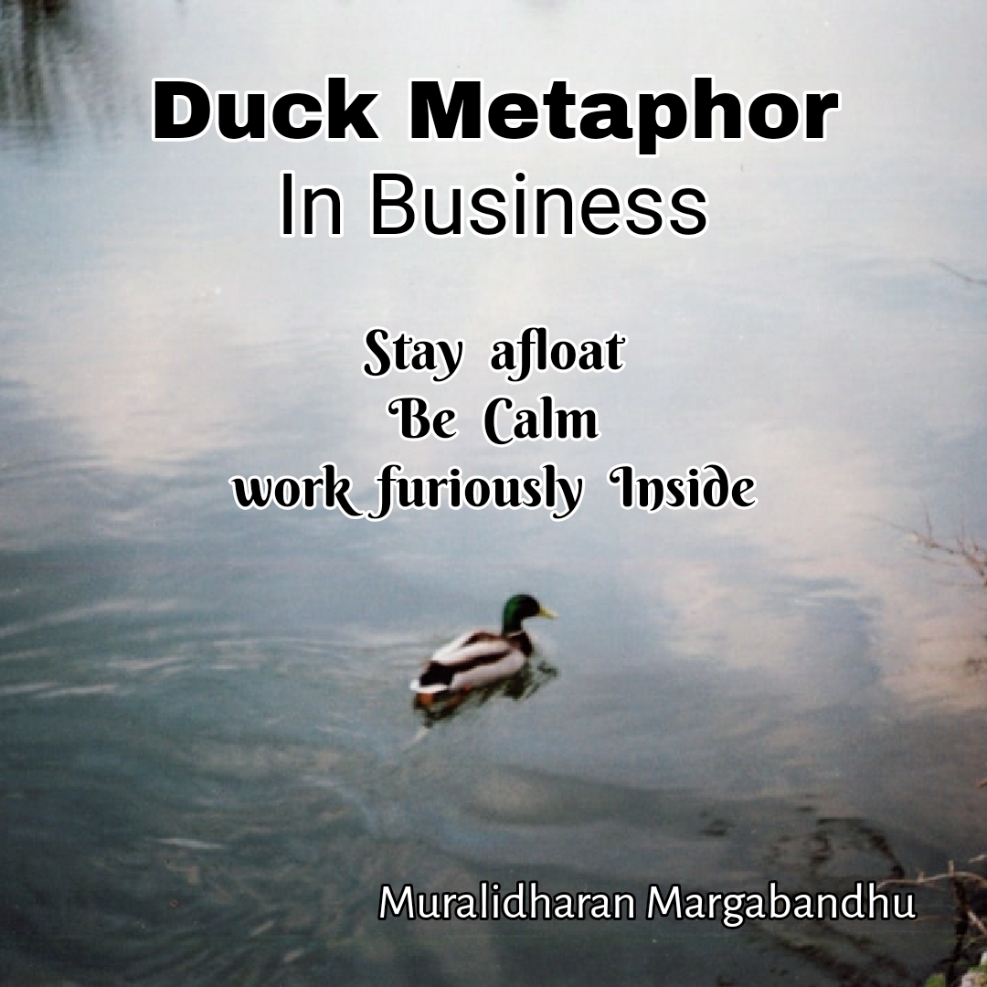 Duck Metaphor in Business