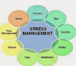 An introduction to 'Stress Management and Soft Skills' articles | Minds ...