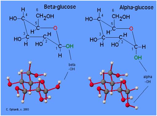 STRUKTUR KONFORMASI GLUKOSA - Agus Nurul Komarudin