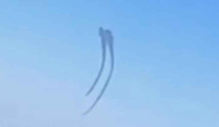 Unknown Black Flying Huge Creatures Filmed From Airplane