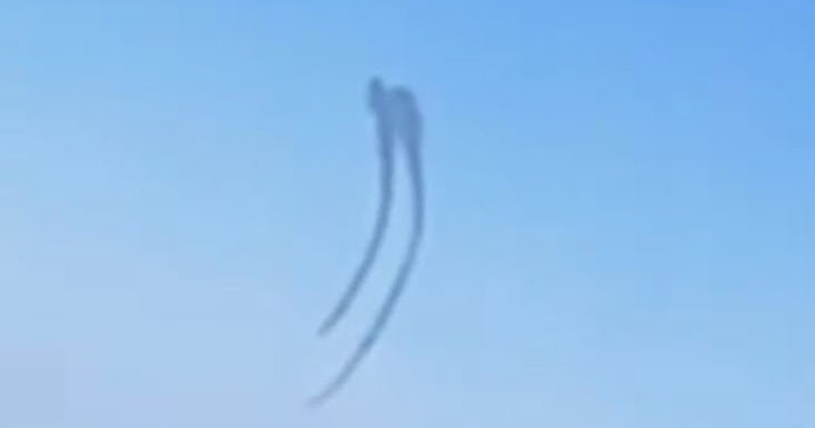 Unknown Black Flying Huge Creatures Filmed From Airplane | The Planet ...