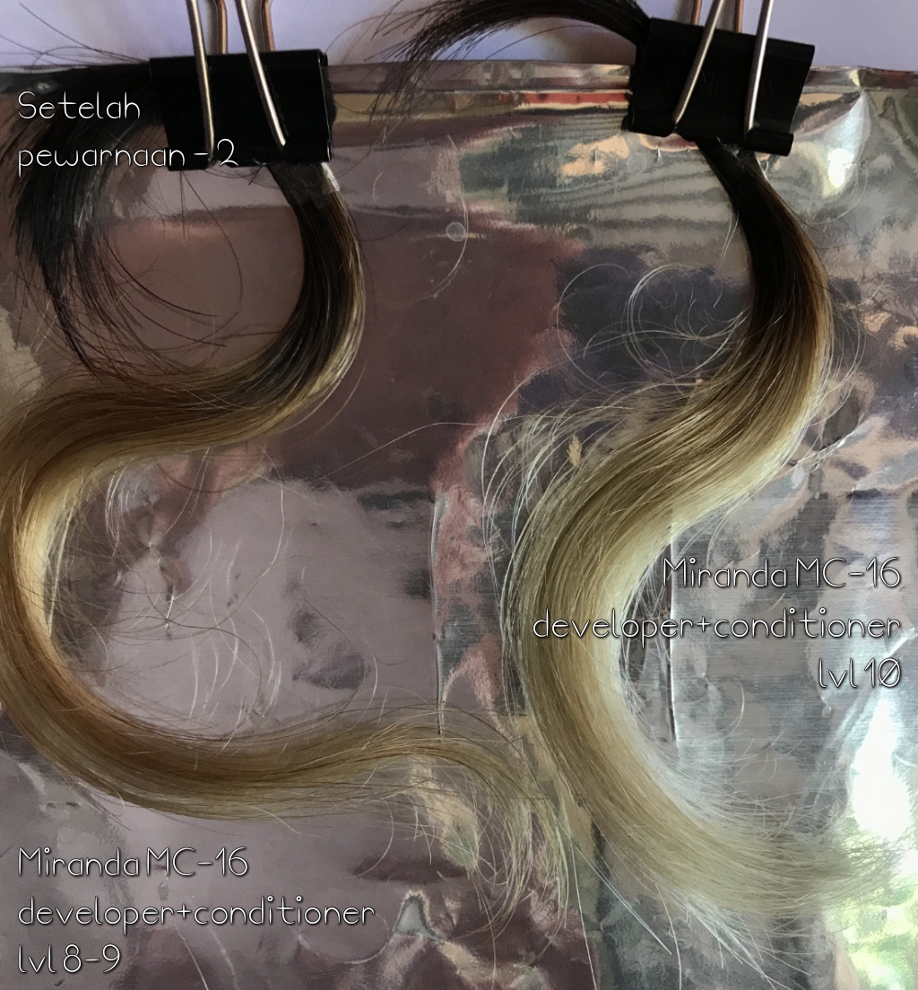 Seeing Through My Eyes: More Review & Swatch: Miranda Permanent Hair ...