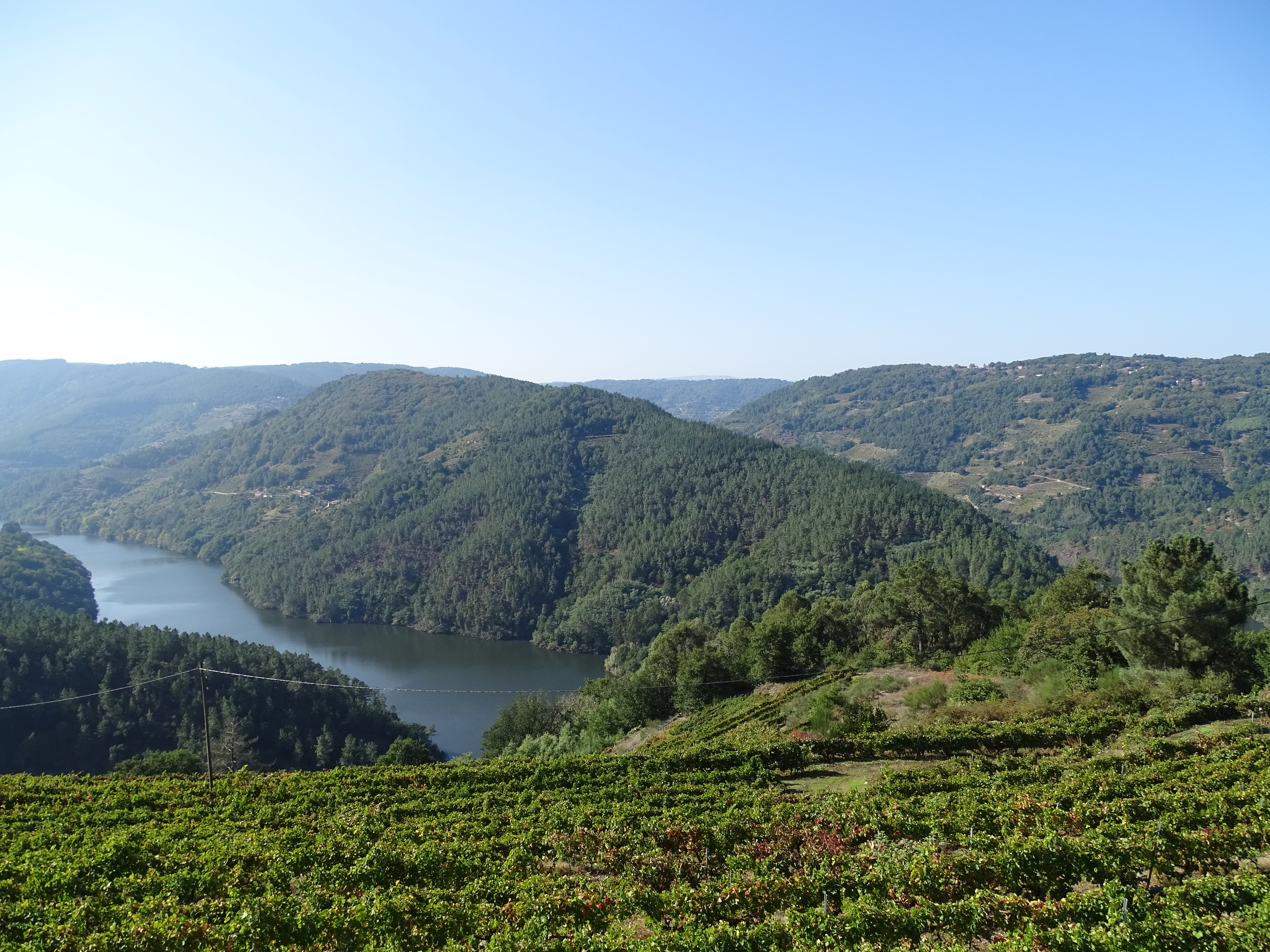 Pueblos y Patrimonio: Ruta - La Ribeira Sacra