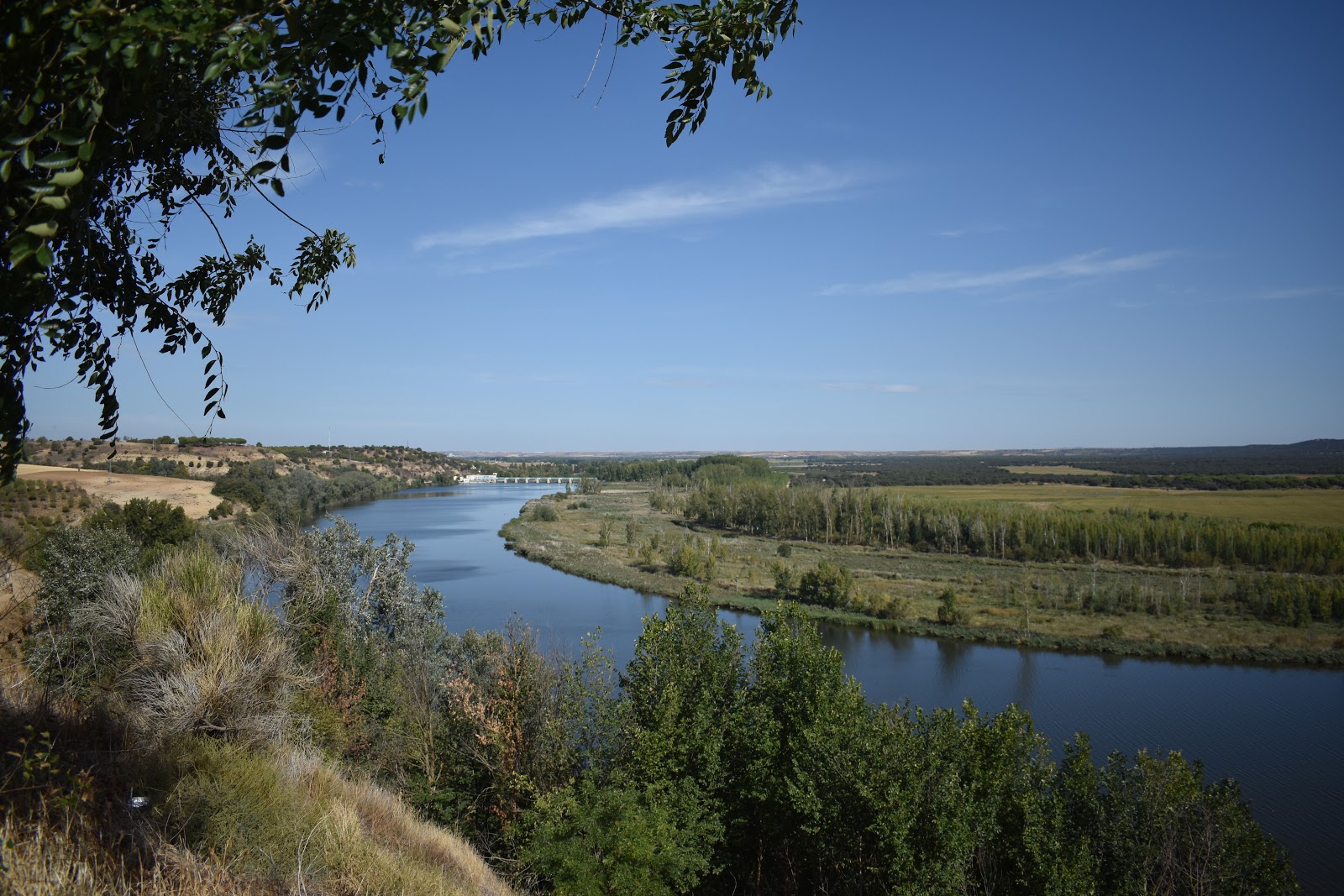 Scenes From Spain's Ribera Del Duero Wine Region