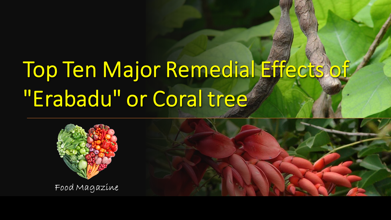 Remedial Effects of "Erabadu" or Coral Tree