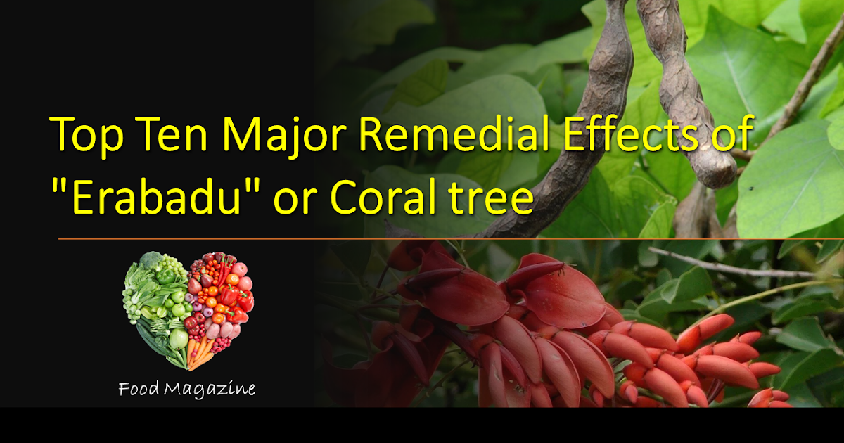Remedial Effects of "Erabadu" or Coral Tree