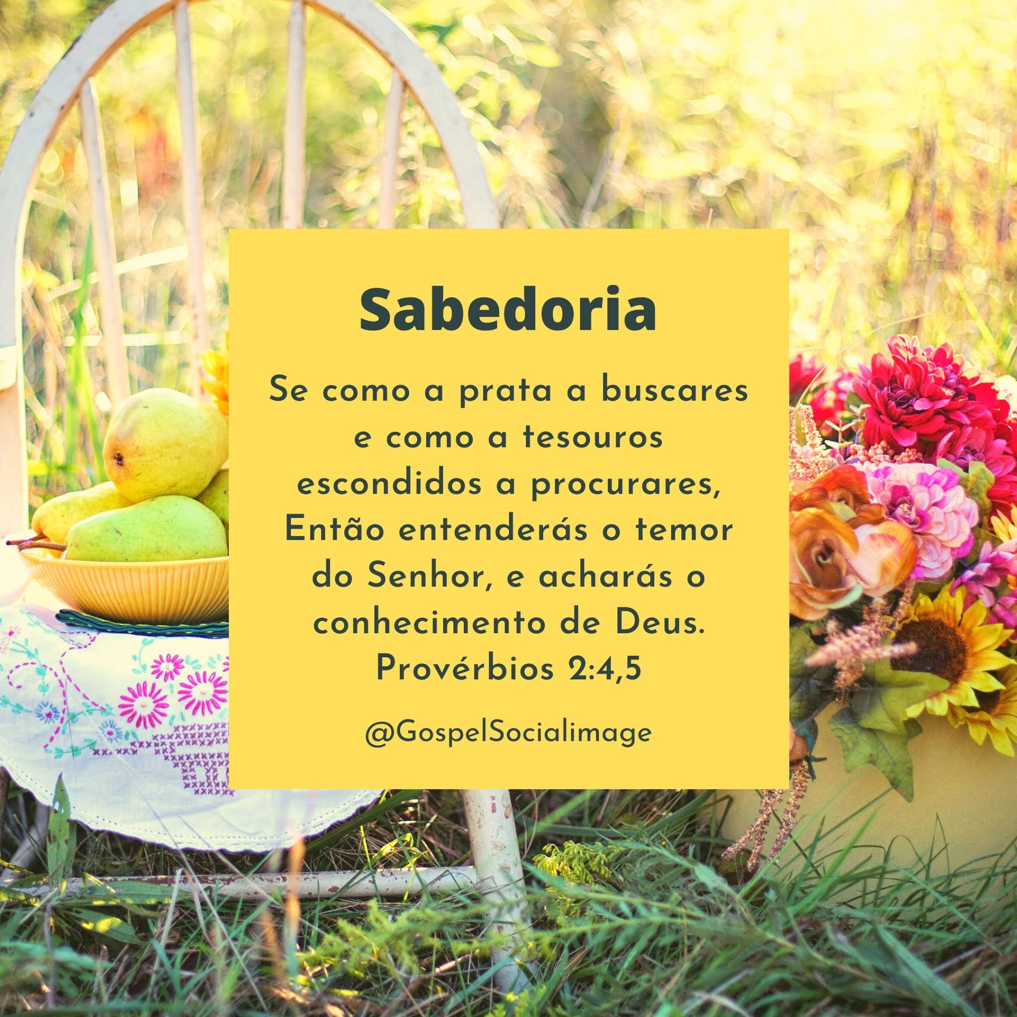 Imagem Bíblica Sobre a Sabedoria de Deus