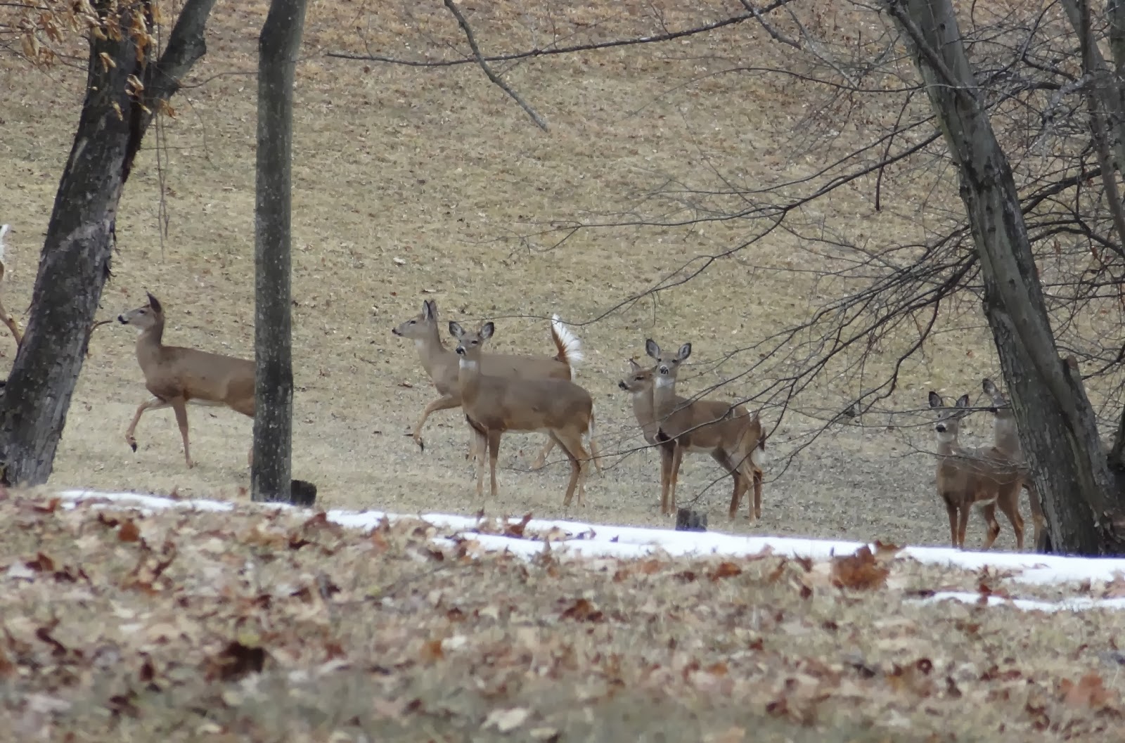 Live and Learn-Toss and Turn: 03/01/2014 - 04/01/2014