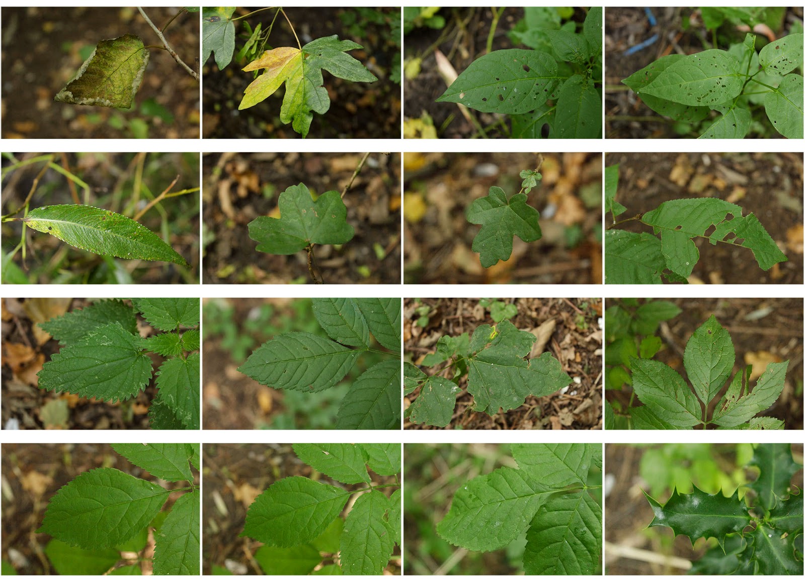 Photography: My Typologies