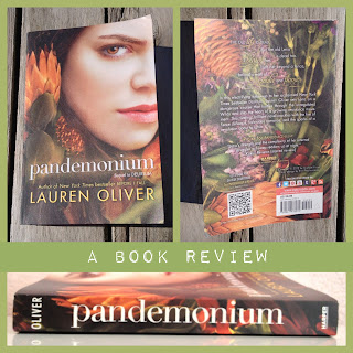 What I Blog About When I Blog About Books: Pandemonium: A Book Review