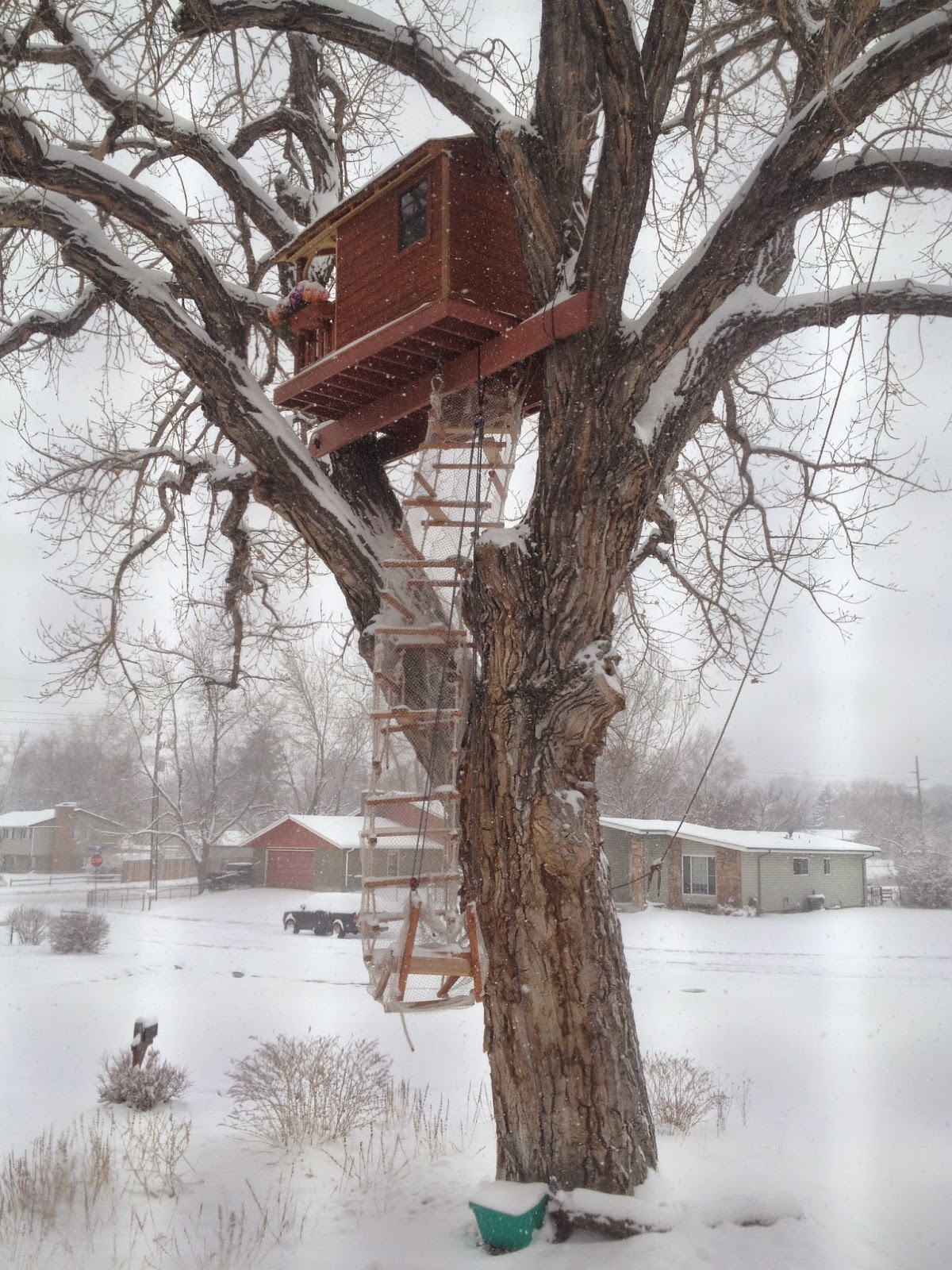 The Treehouser: Treehouse Story: Snow Falling On Cedar (Shakes)