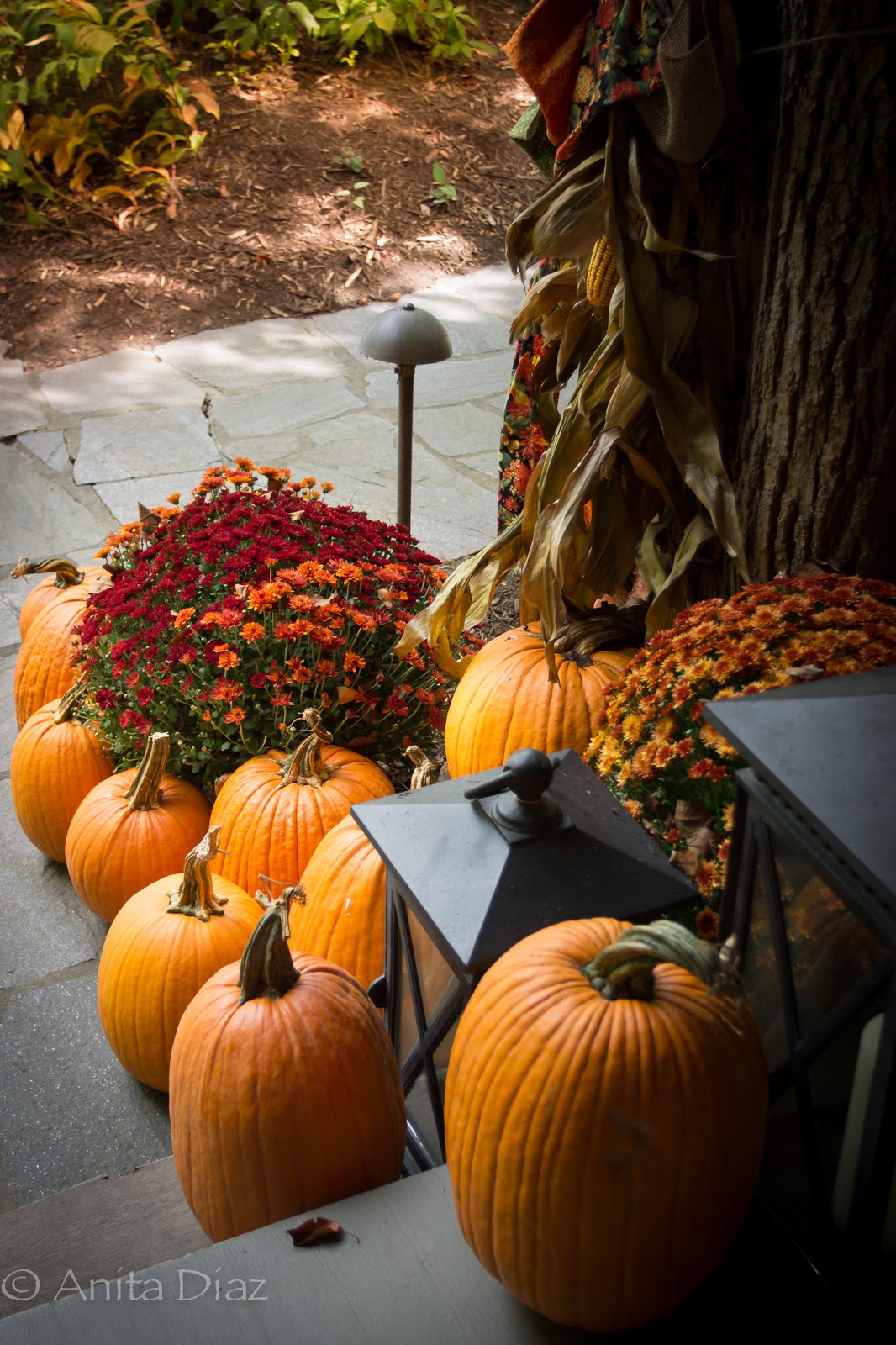 Fall at the Boarding House - Whispering Pines Homestead