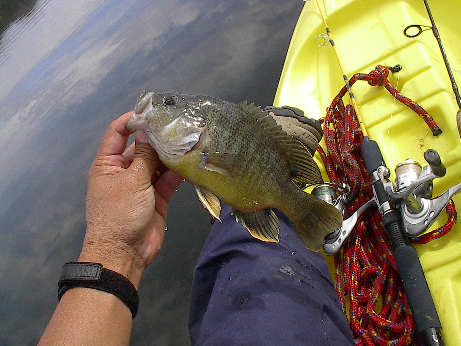 Fish and Firearms: Post-Cyclone Dora fishing