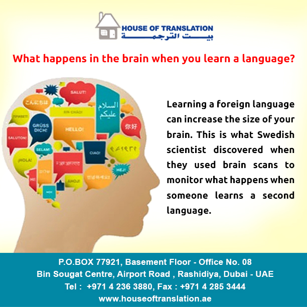 Welcome to House of Translation: What happens in the brain when you ...