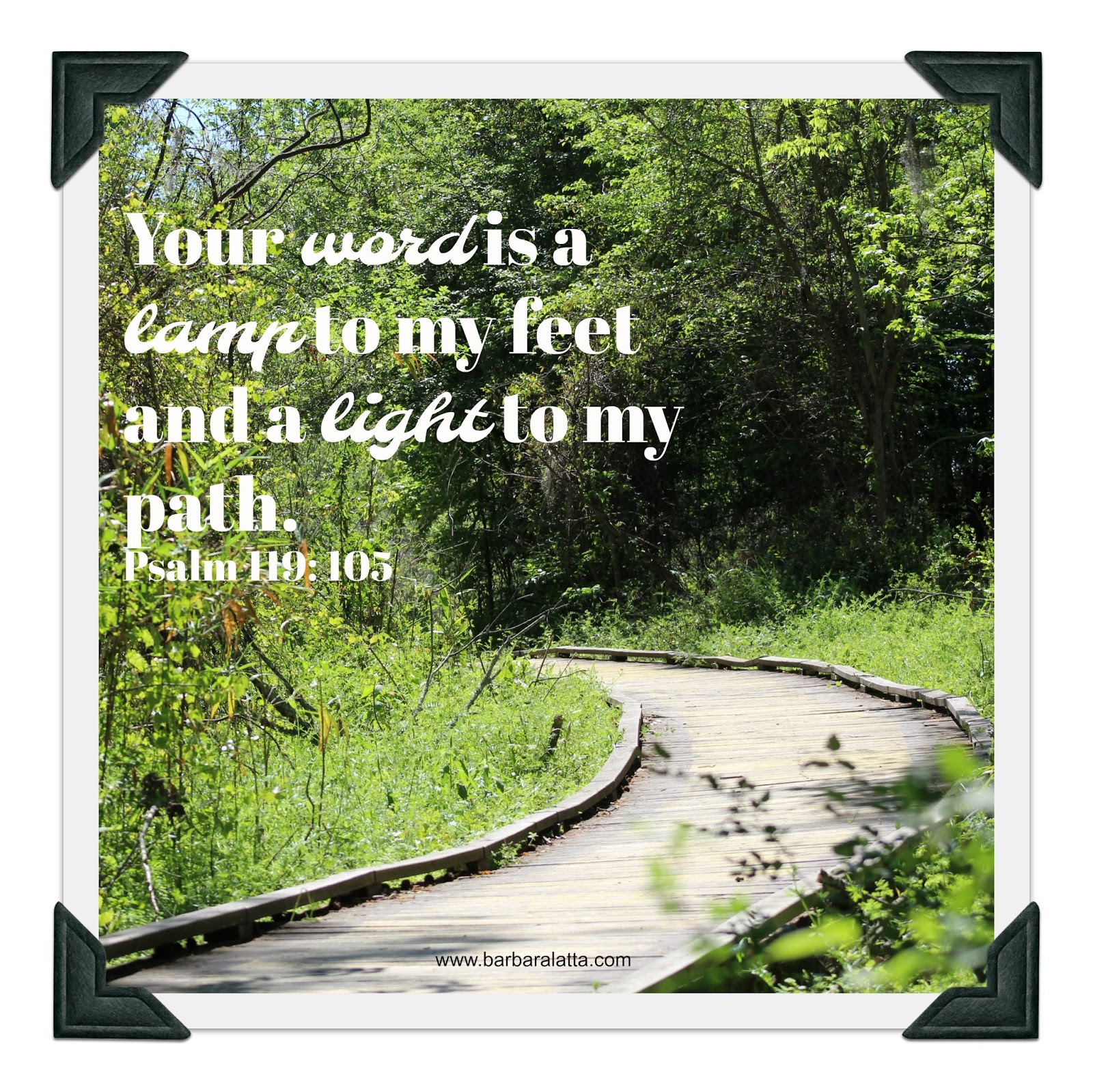 Navigating Life's Curves : What Happens When a Christian Fails?