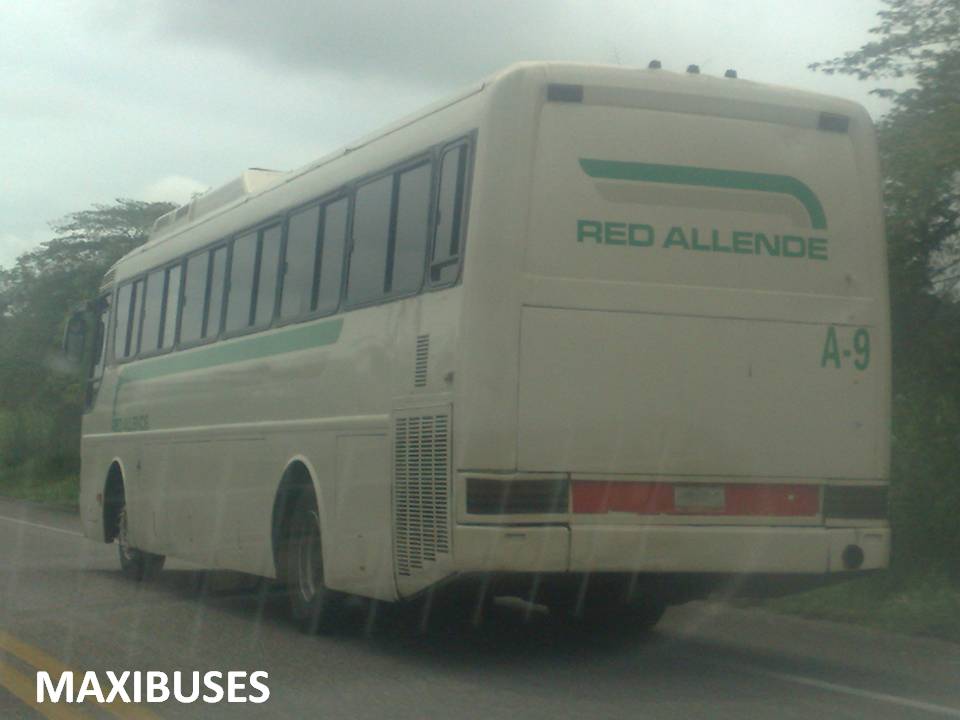 MAXIBUSES: AUTOBUSES RED ALLENDE