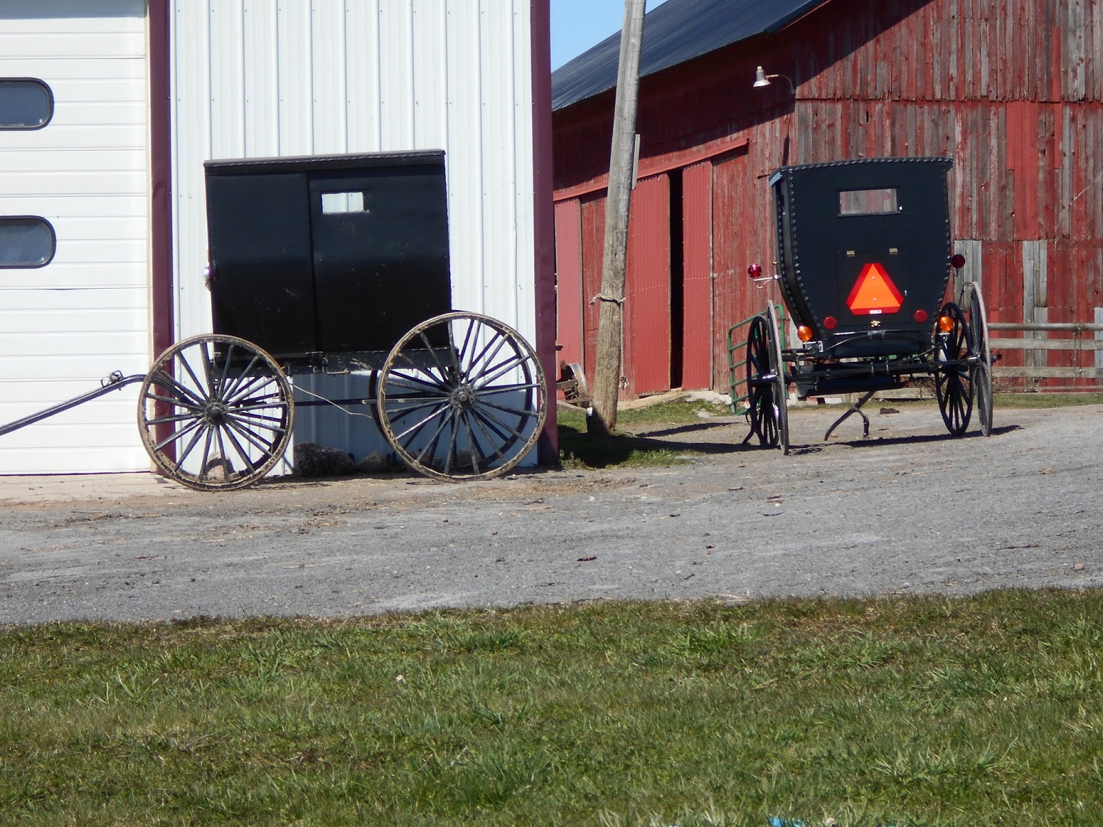 New York State of Mind: AMISH AND OLD ORDER MENNONITE BUGGIES