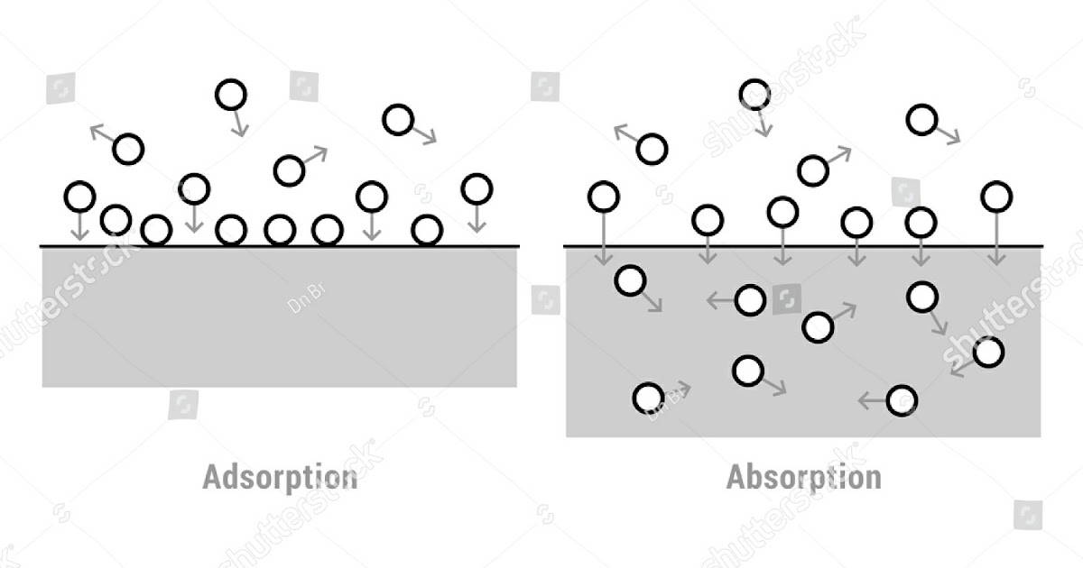 Factors affecting adsorption of gases on solids