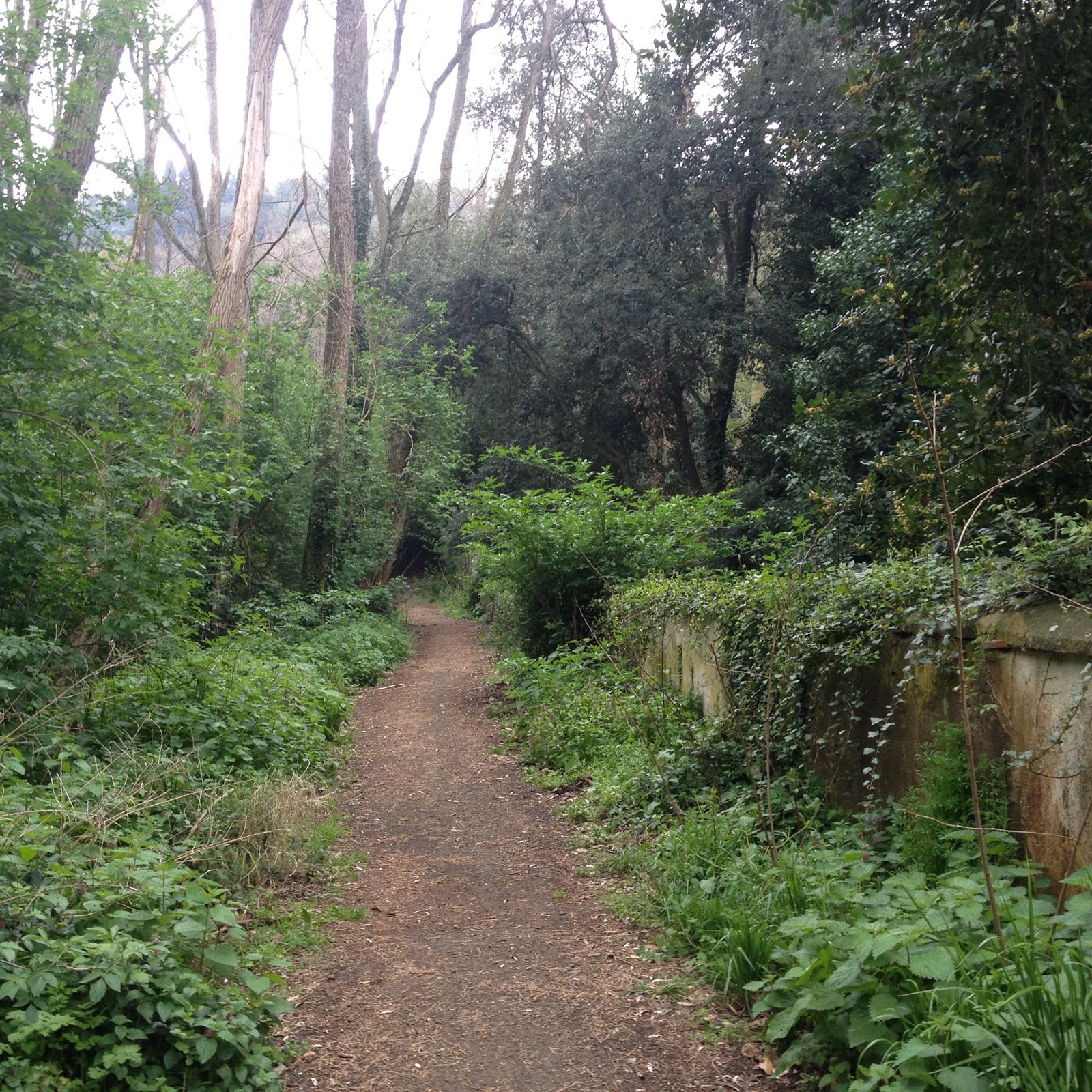 Raccontare la natura e l'arte: Da Frascati a Tuscolo.Parco Regionale ...