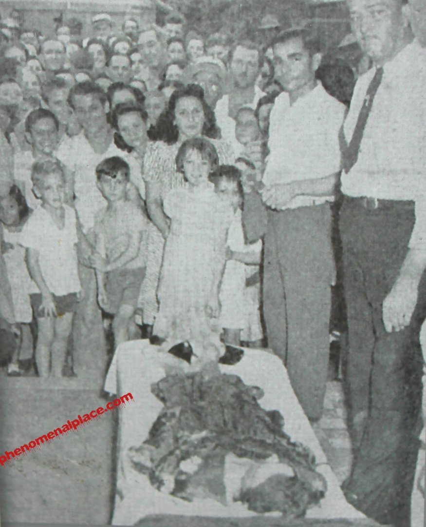 و عاش كارل 7 سنوات كاملة مع الجثة معيشة كاملة يأكل و يشرب و ينام بقربها و يكلمها كما لو كانت حيه ...