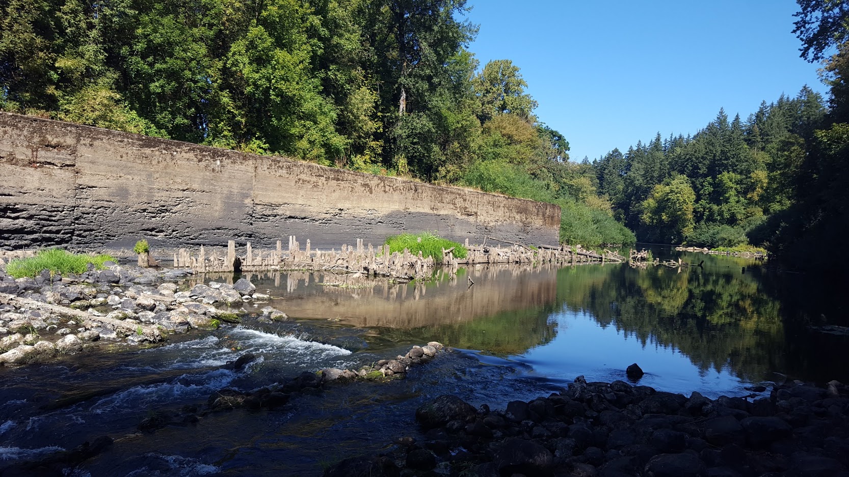 08/24/2020 - Yamhill River, Lafayette Locks Historical Park, Lafayette, OR