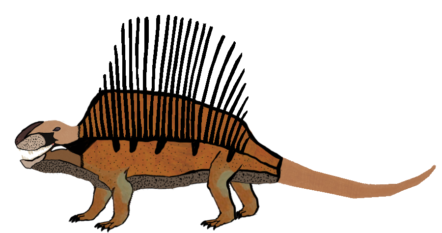 The Expeditioner's Discovery Guild: A little bit of Everything: Paleo ...