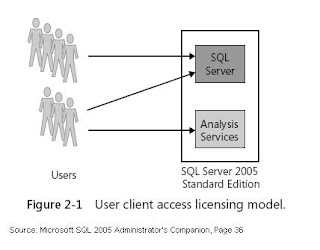 sharing: Example of User Client Access Licensing Model