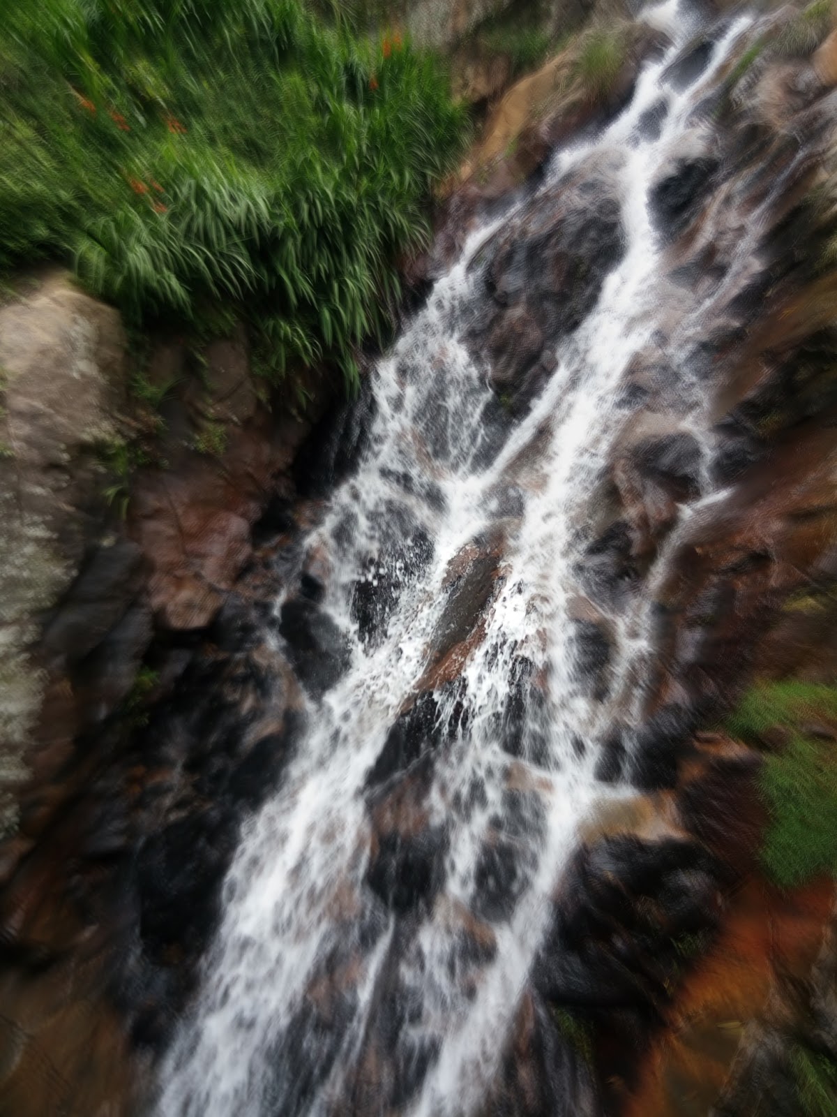 ලින්කන්ගෙ වෙබ් පිටුව: ඔහිය සිට යකාගේ පඩිපෙල පසුකර බඹරකන්ද දියඇල්ලට ...