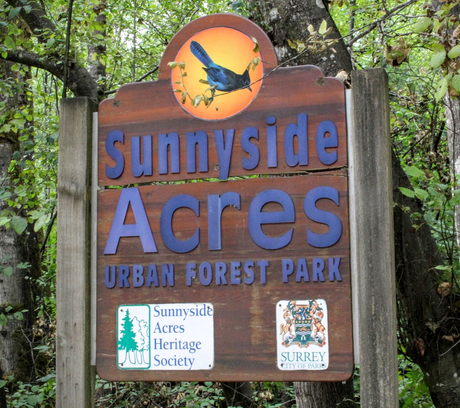 Discover Outdoors: Do you know these trails?