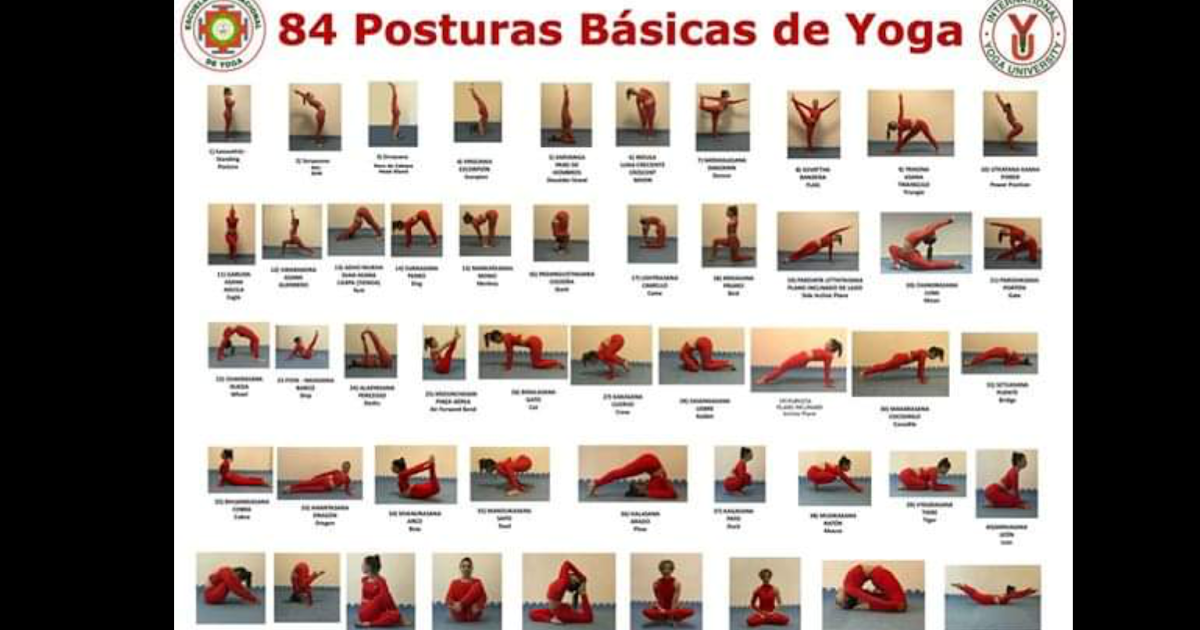 Instructorado de yoga 2019: 6) Pegue las 84 posturas básicas de Yoga ...