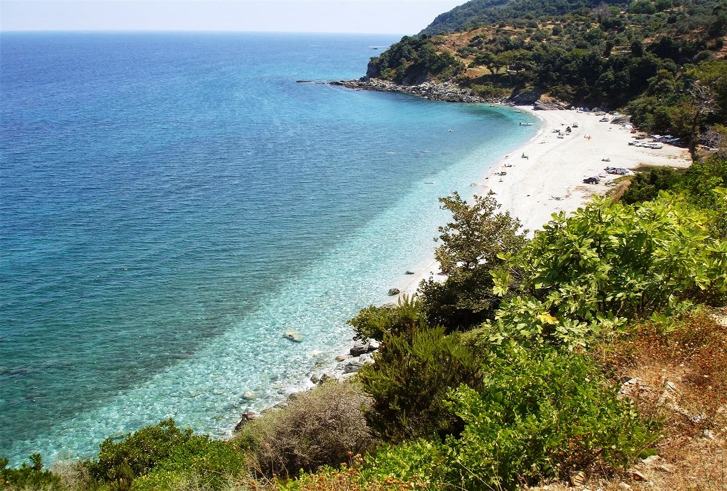 ☮ ΒΟΛΟΣ ΠΗΛΙΟ ΜΑΓΝΗΣΙΑ : ΠΑΡΑΛΙΕΣ