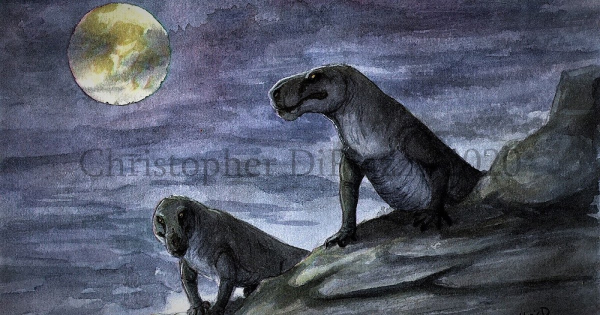 Prehistoric Beast of the Week: Lycaenops: Beast of the Week