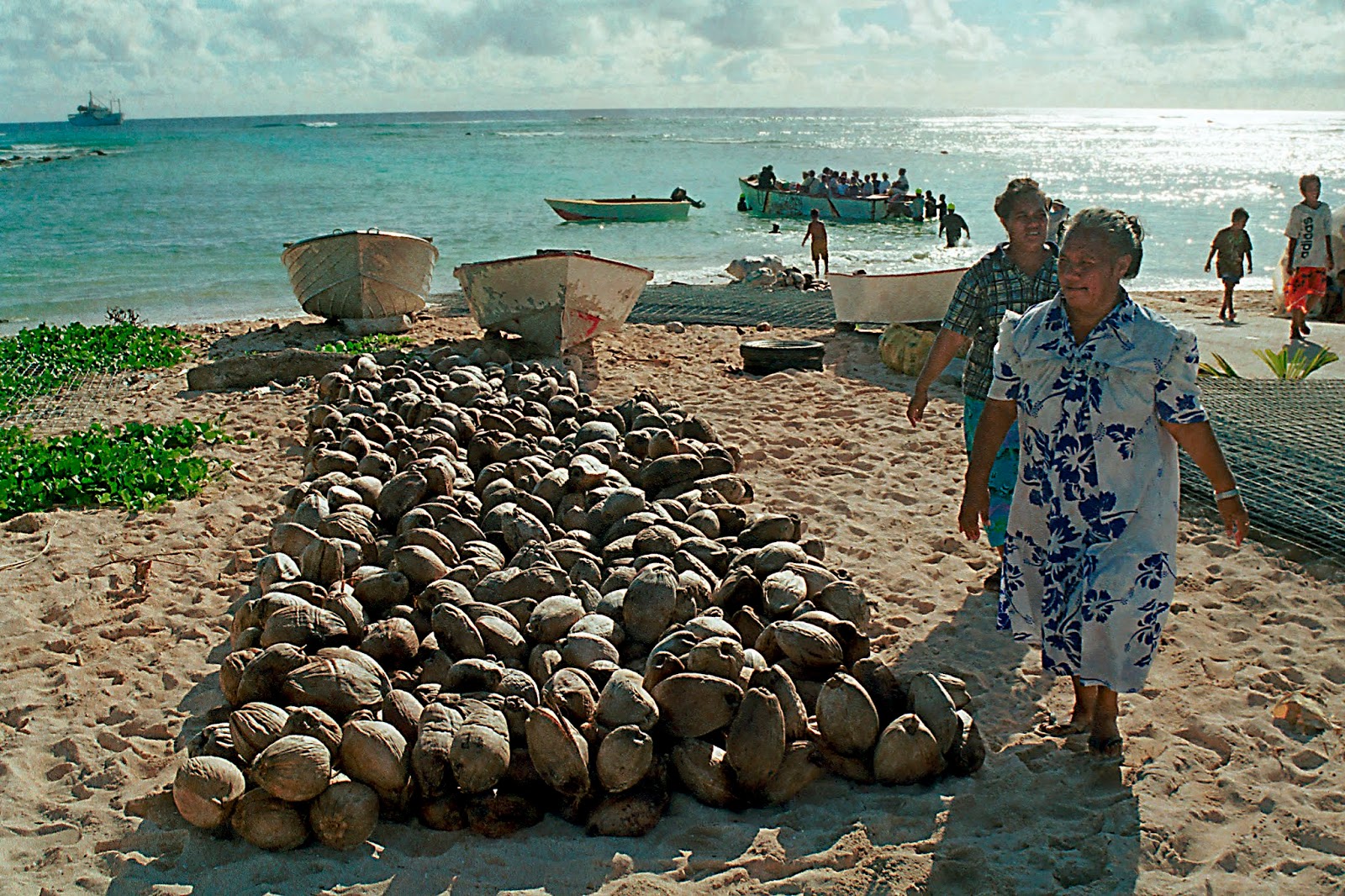 Coconut planting material for the Pacific region: Tuvalu