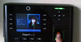 Automatic Input Device ~ Computer Programming & Graphics