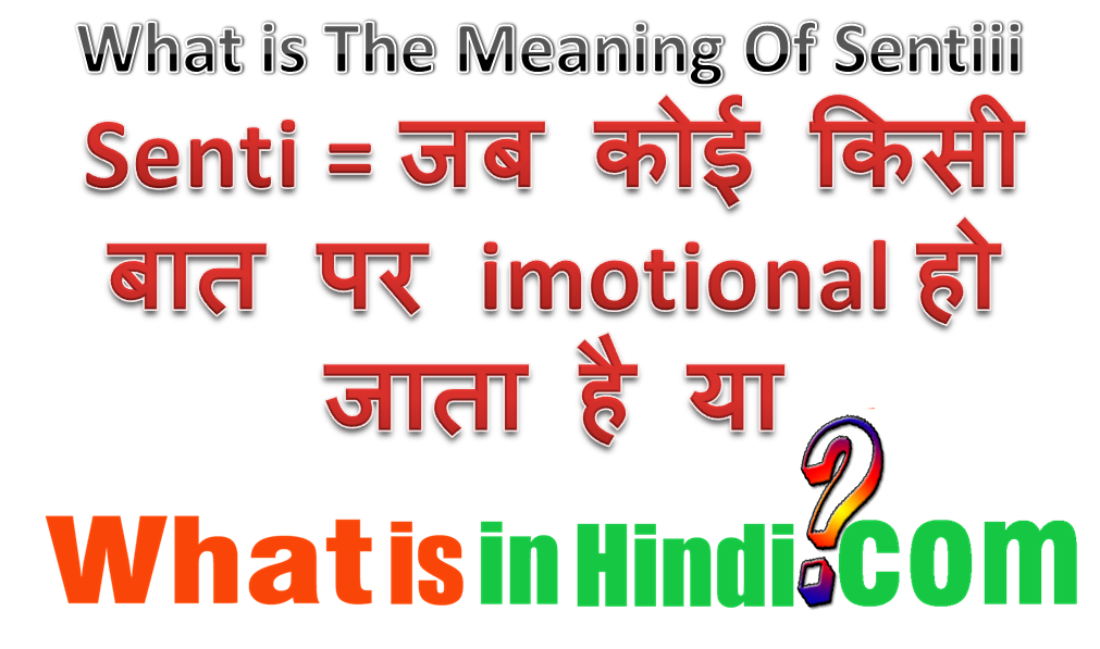 Senti का मतलब क्या होता है | What is the meaning of Senti in Hindi ...