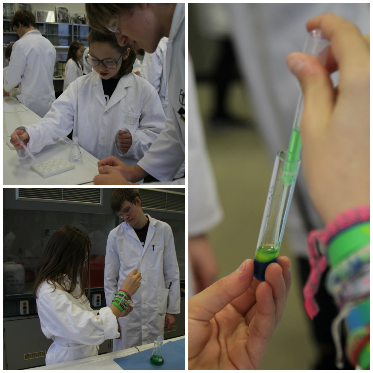 Klas6sintmichiel: STEM-dag Boom