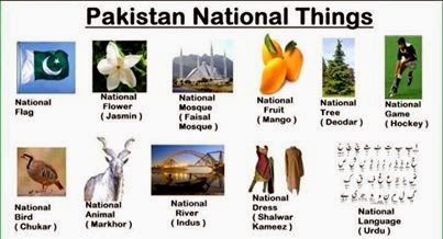 NATIONAL THINGS OF PAKISTAN - COMPUTER TRACKS, Internet & Social media