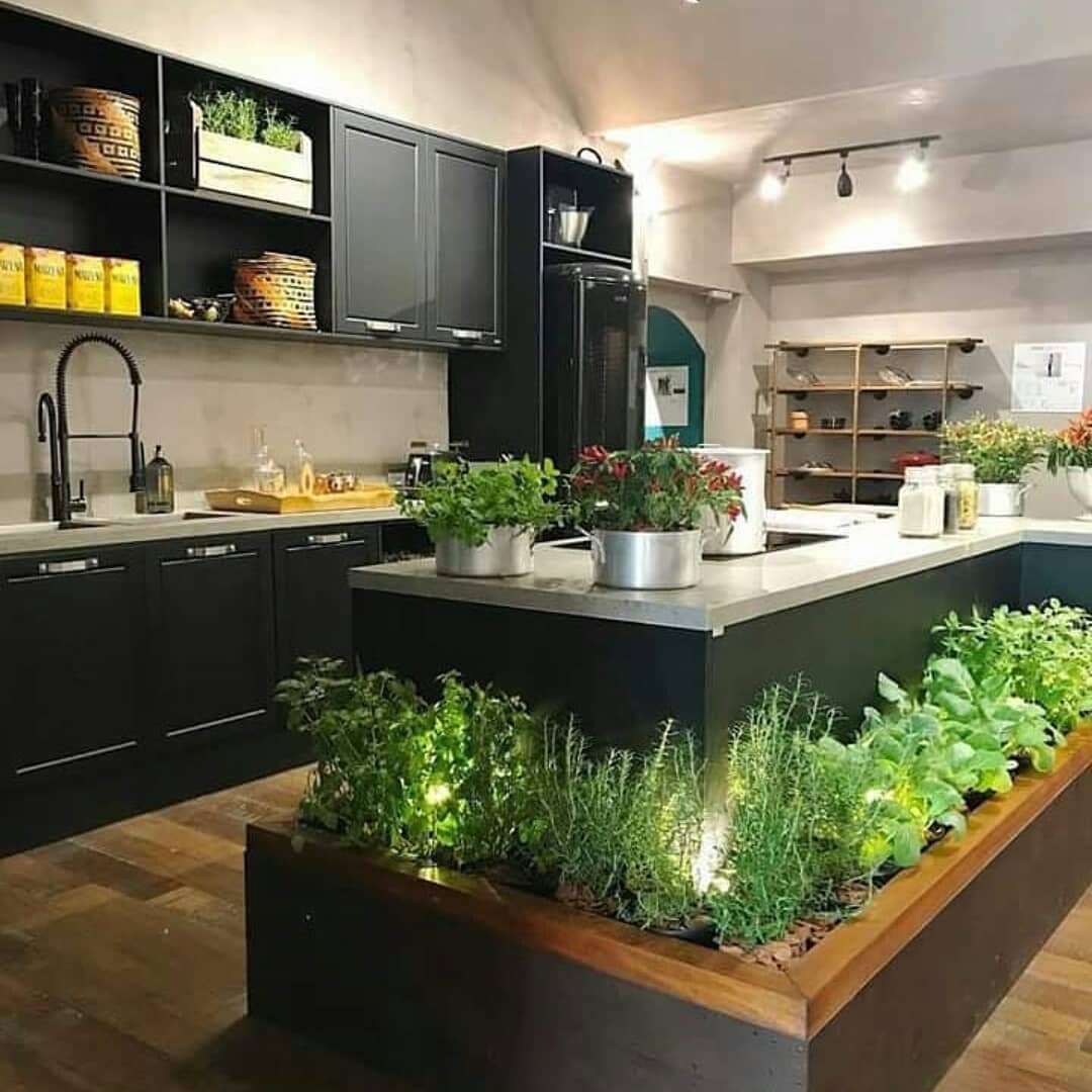 CASA TRÈS CHIC: MINI HORTAS